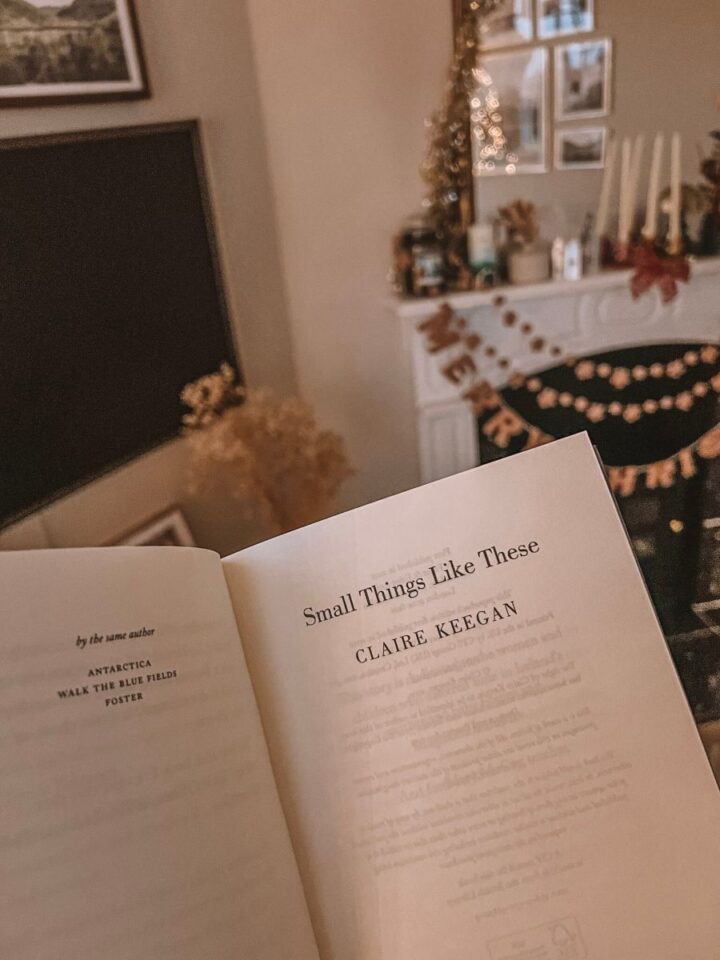 15 Thoughtful Small Things Like These Book Club Questions